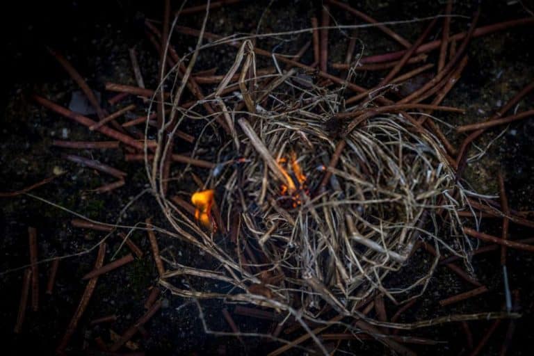 How to Start a Fire In The Wild - The Definitive Guide
