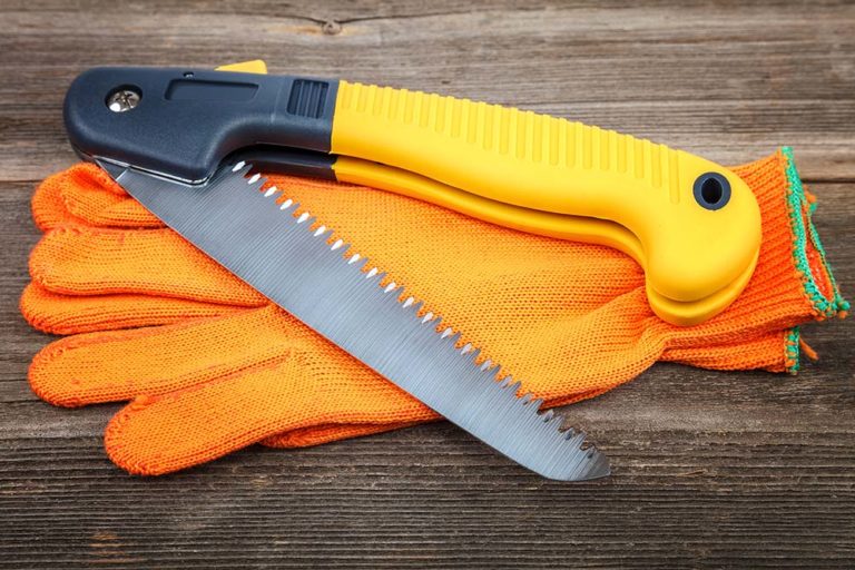 The Best Folding Saw For Bushcraft - Tried & Tested In 2023