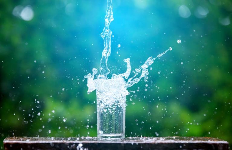 How Purify And Clean Water In The Wild And Survive?