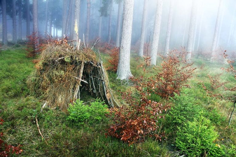 How To Build A Long Term Survival Shelter? | Prime Survivor