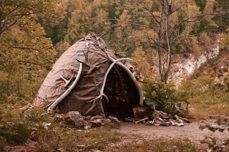 How To Build A Shelter To Survive In The Wild 2025 Guide